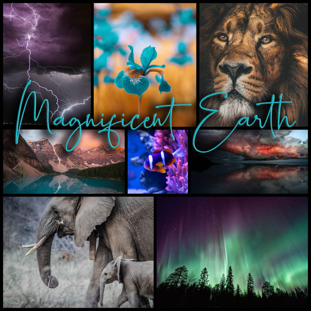 Magnificent Earth Club – The Whimsical Ewe